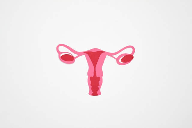 Miomatose uterina: tudo sobre! - Estratégia MED