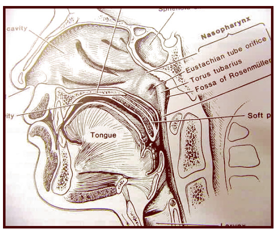 Resumo de otite média aguda: diagnóstico, tratamento e mais!