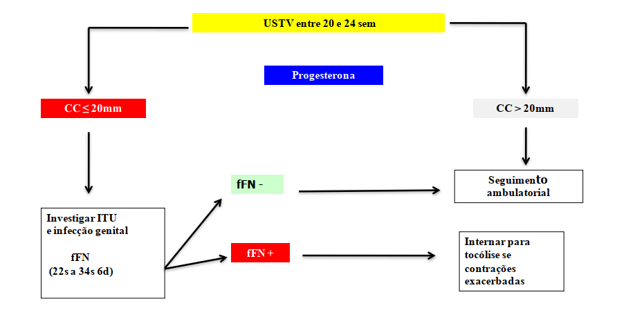 Resumo de trabalho de parto prematuro: diagnóstico e mais!