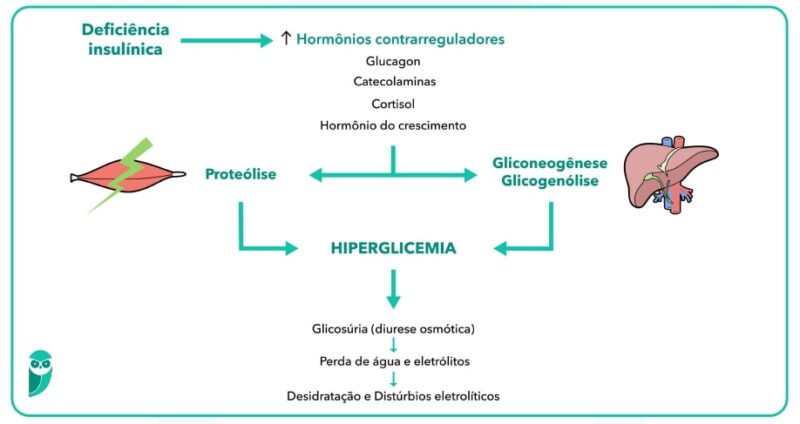 Resumo de Cetoacidose Diabética: causas, quadro clínico e mais!